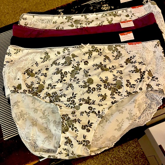 Cacique Intimates And Sleepwear 5 Pair Lane Bryant Cacique High Leg Cotton Brief Panties Nwt